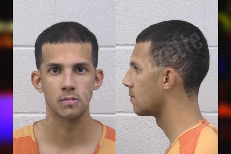 Wilmer Pena — Paulding County Jail Bookings