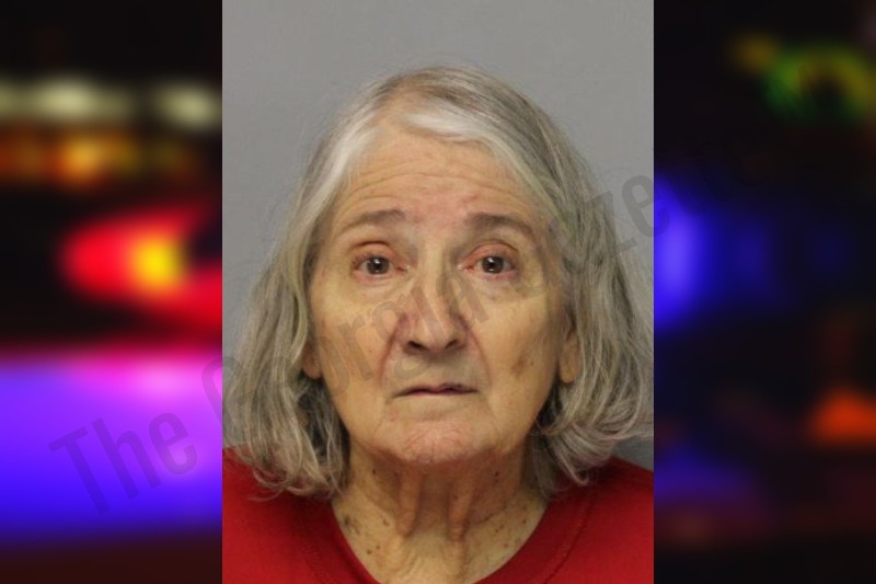 Rachel Ramer — Hall County Jail Bookings