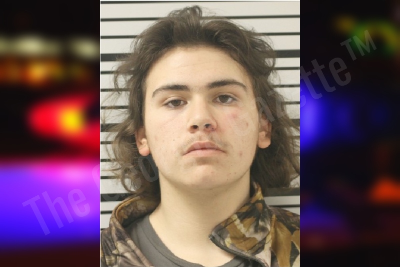 Aaron Rauton — Toombs County Jail Bookings