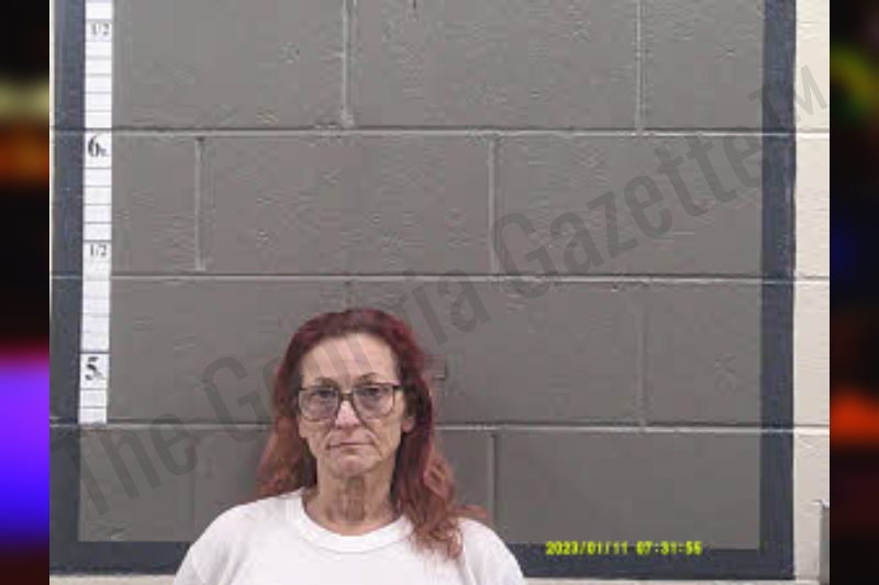 Rebecca Cook — Banks County Jail Bookings