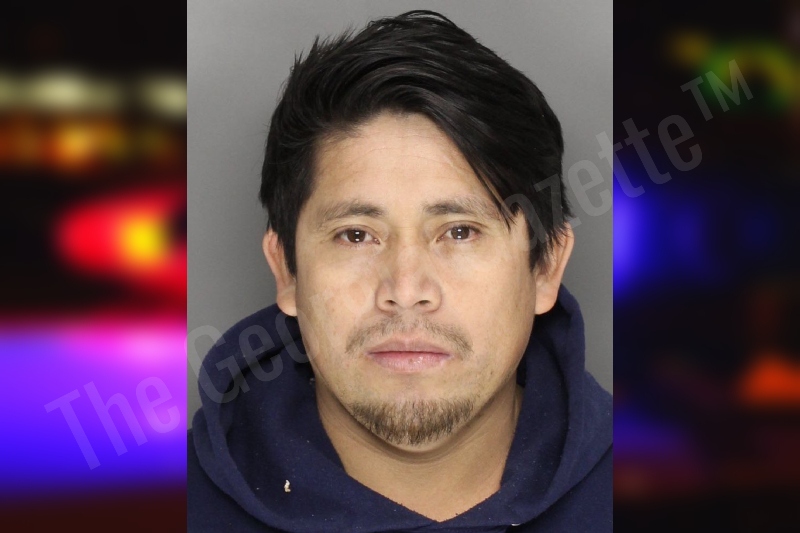 Elmer Reyes — Cobb County Jail Bookings