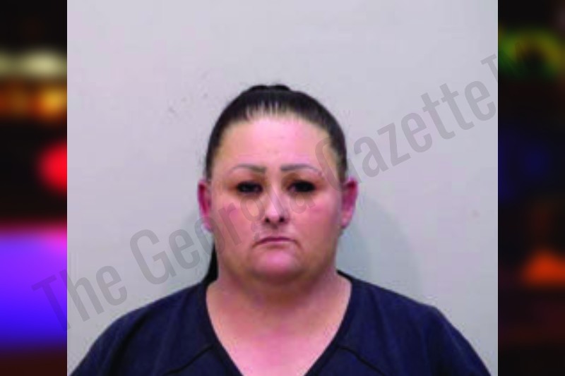 Brandy Ramirez — Bartow County Jail Bookings