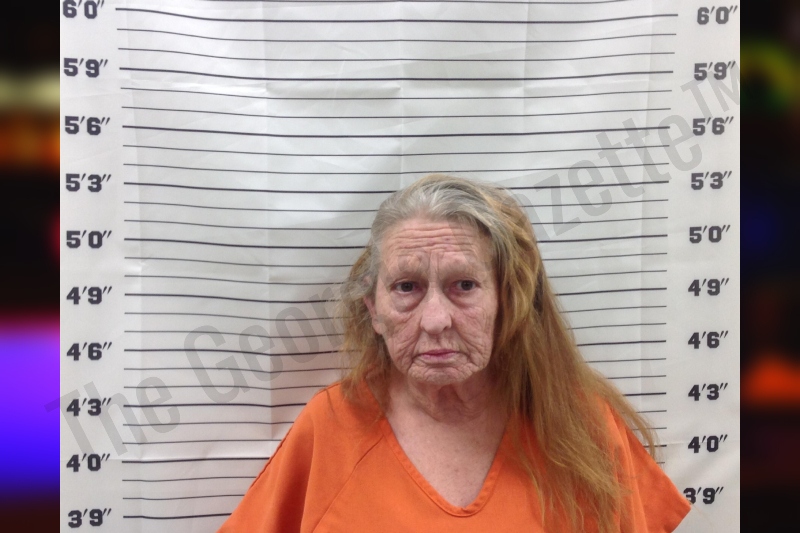 Amy Ray — Pickens County Jail Bookings