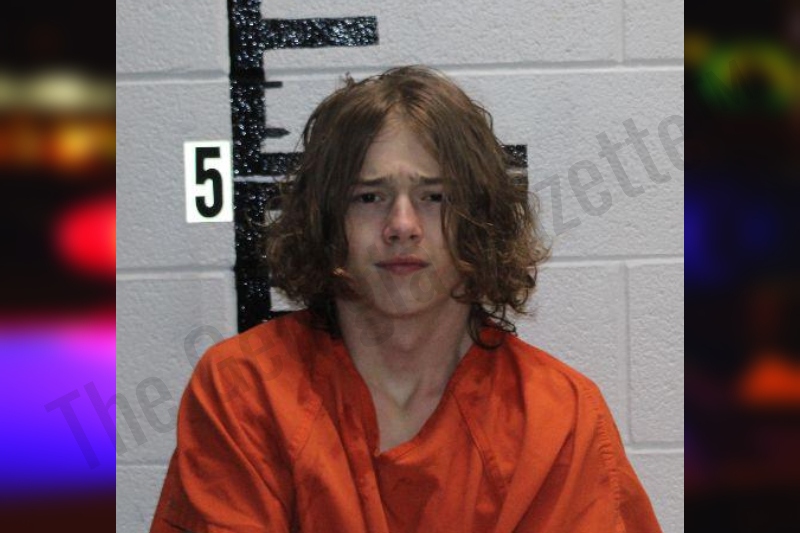 Preston Reed — Murray County Jail Bookings