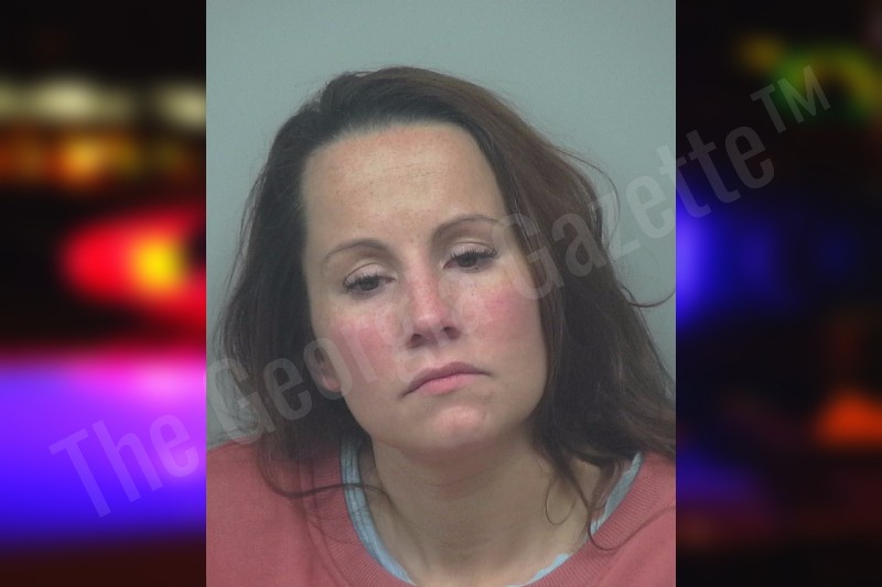 Emily Sipes — Gwinnett County Jail Bookings