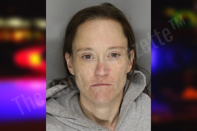 Ashley Smart — Cobb County Jail Bookings