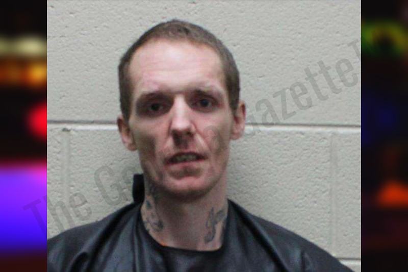 Nathan Sullivan — Haralson County Jail Bookings