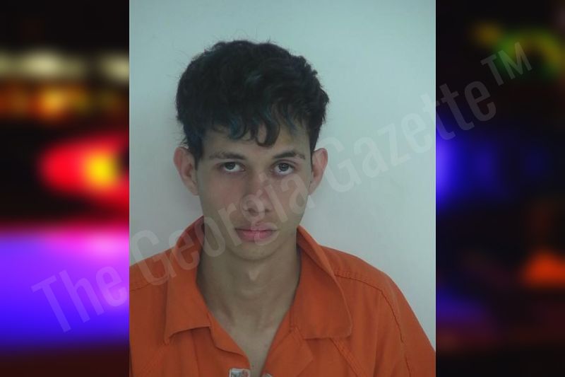 Gabriel Silvera Jimenez — Fayette County Jail Bookings