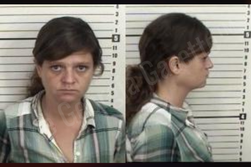 Amber Skinner — Camden County Jail Bookings