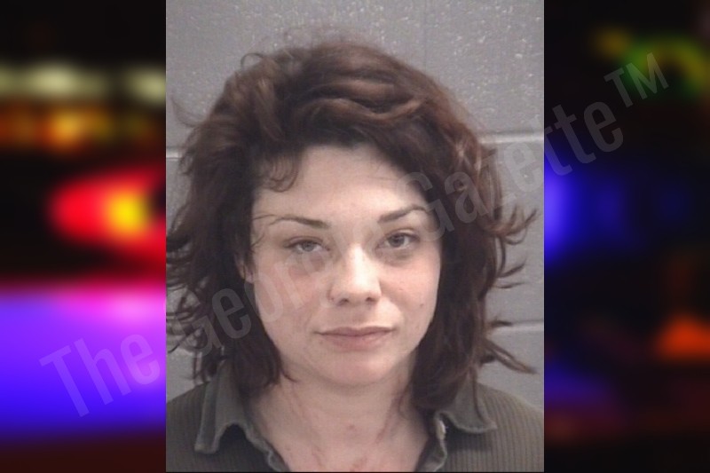 Sara Smith — Spalding County Jail Bookings