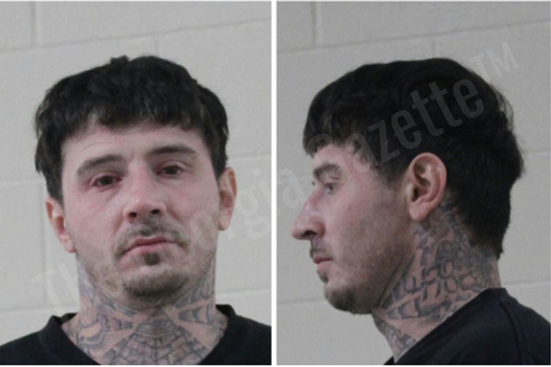 Jonathan Story — Houston County Jail Bookings