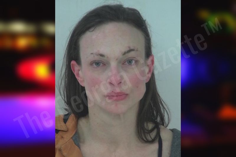 Krista Sullivan — Fayette County Jail Bookings