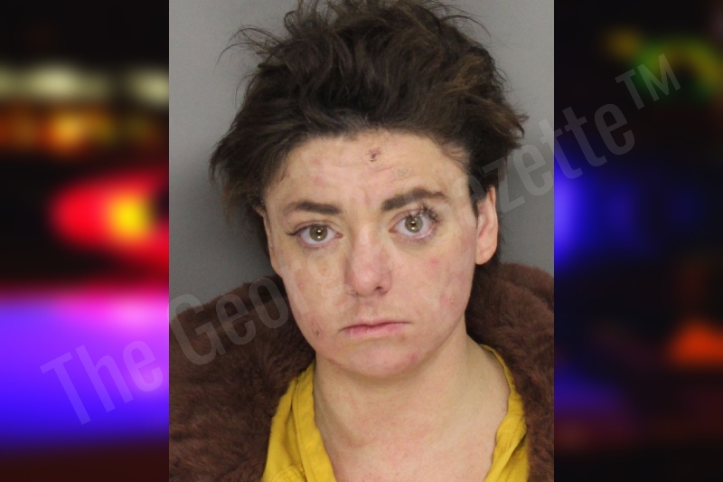Brooke Turner — Cobb County Jail Bookings