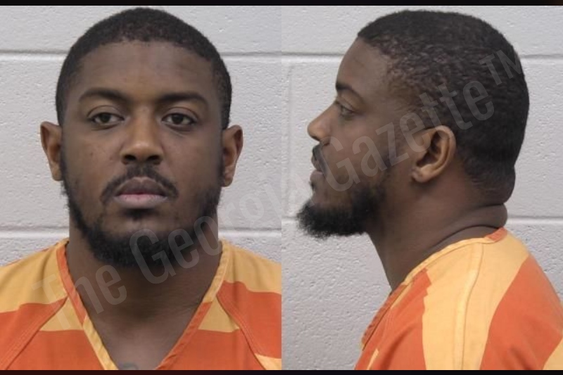 Joseph Tenner — Paulding County Jail Bookings