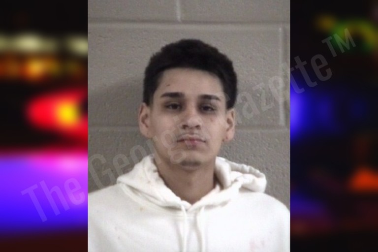 Whitfield County Jail Bookings – The Georgia Gazette