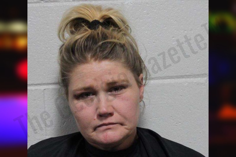 Jessica Whitfield — Habersham County Jail Bookings