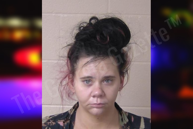 Hayden Webb — Walker County Jail Bookings