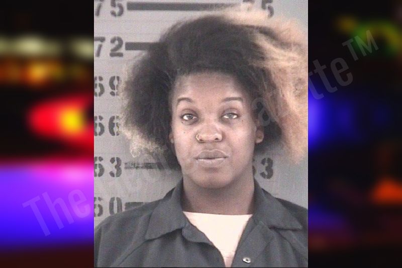 Chelsea Wiggins — Dougherty County Jail Bookings