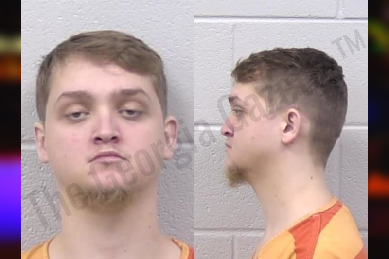 Landon Williams — Paulding County Jail Bookings