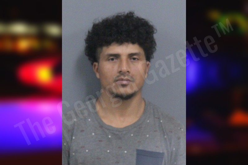 Wilmer Andrade Pineda — Catoosa County Jail Bookings