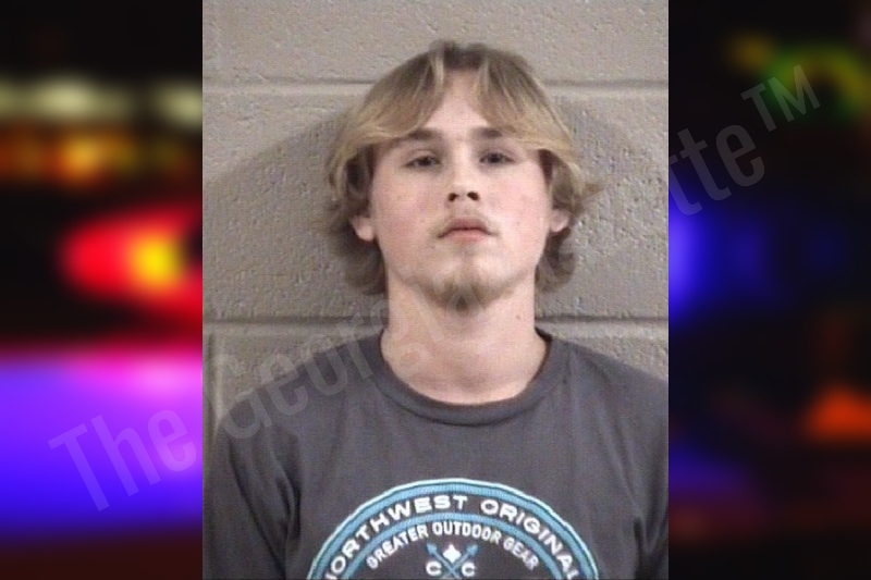 Troy Alton — Whitfield County Jail Bookings