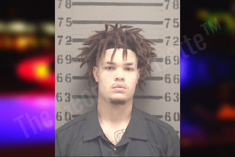 Joshua Anderson — Dougherty County Jail Bookings