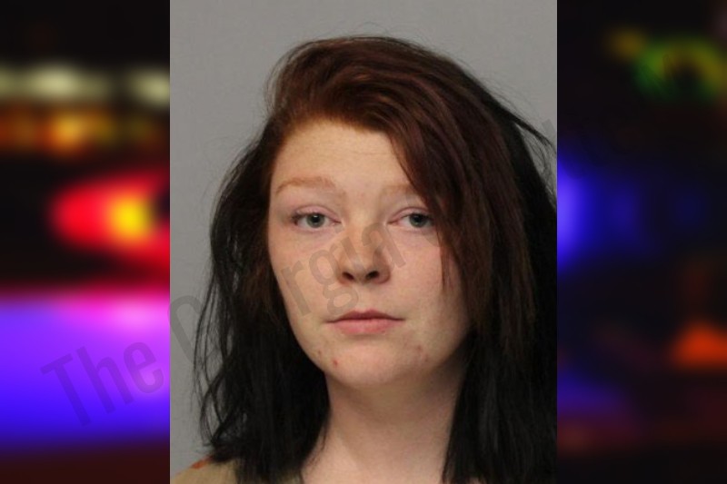 Brooke Bestpitch — Hall County Jail Bookings