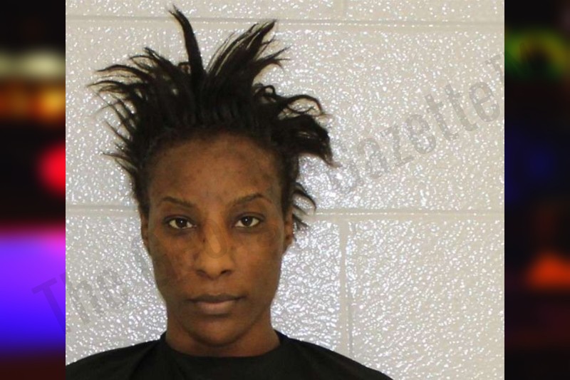 Michelle Bolin — Carroll County Jail Bookings