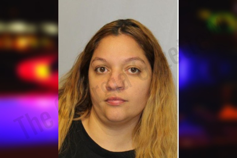 Robin Boyd — Hall County Jail Bookings