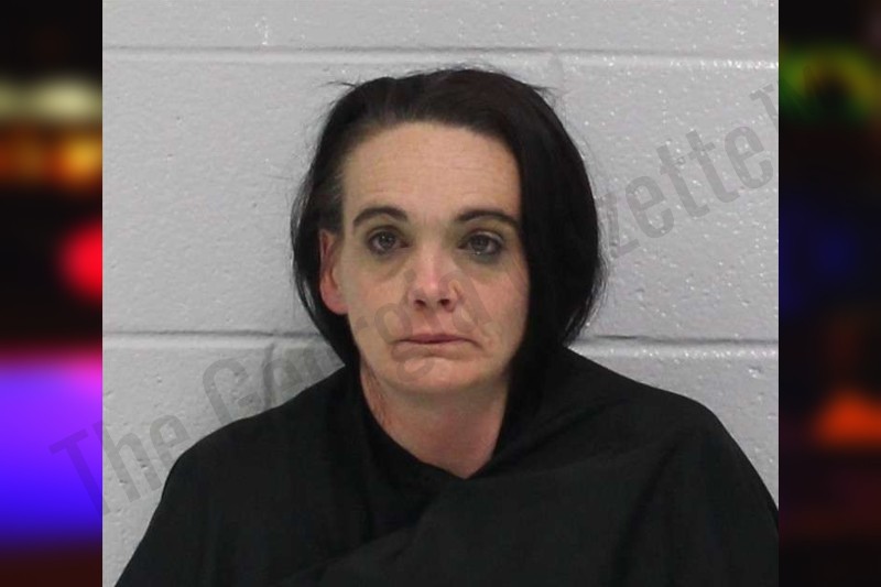 Jennifer Braddock — Carroll County Jail Bookings