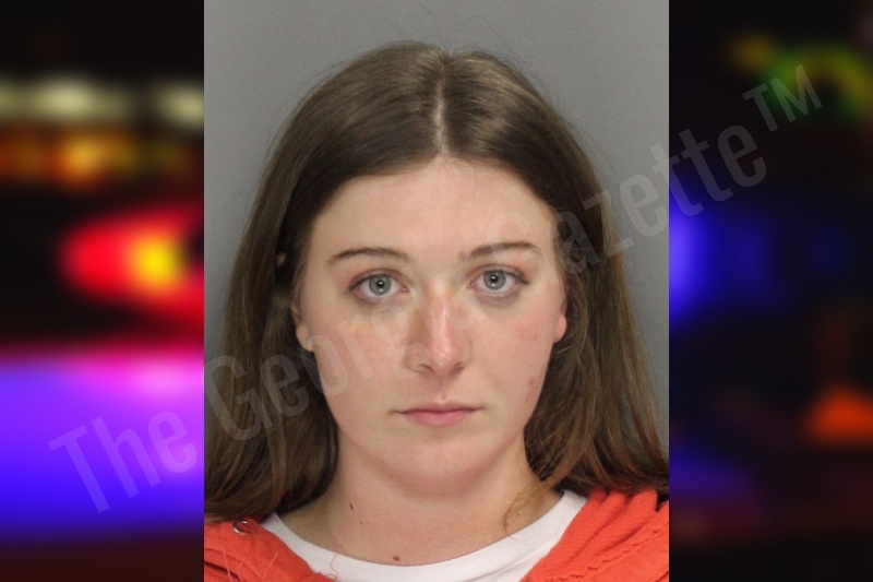 Ellie Briggs — Cobb County Jail Bookings