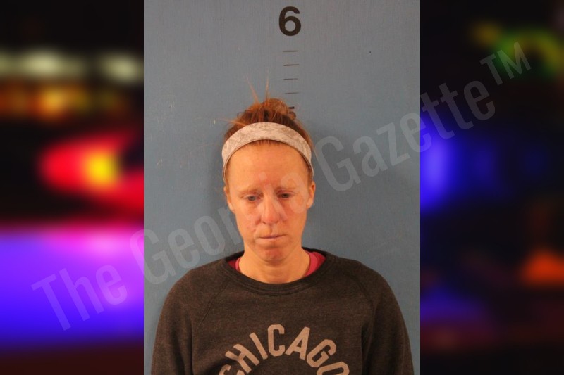 Erin Burch — Monroe County Jail Bookings