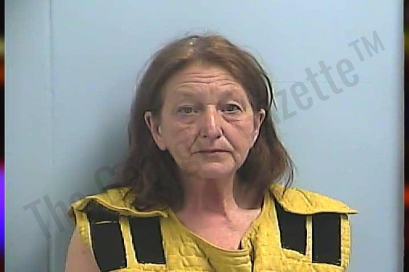 Cindy Boling — Dawson County Jail Bookings