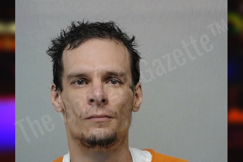Brandon Everett — Bibb County Jail Bookings
