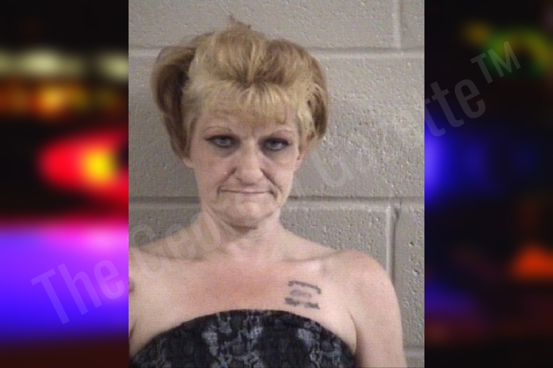 Jessica Brooks — Whitfield County Jail Bookings