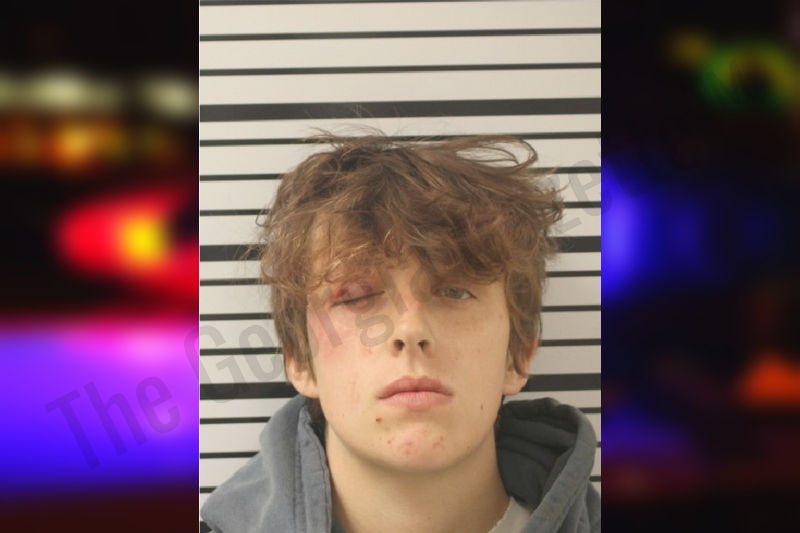 Emily Carter — Toombs County Jail Bookings