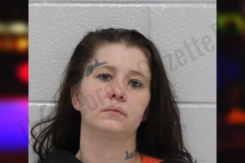 Taylor Cason — Carroll County Jail Bookings