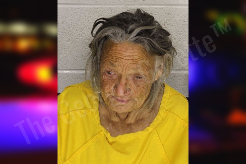 Debra Combs — Cobb County Jail Bookings