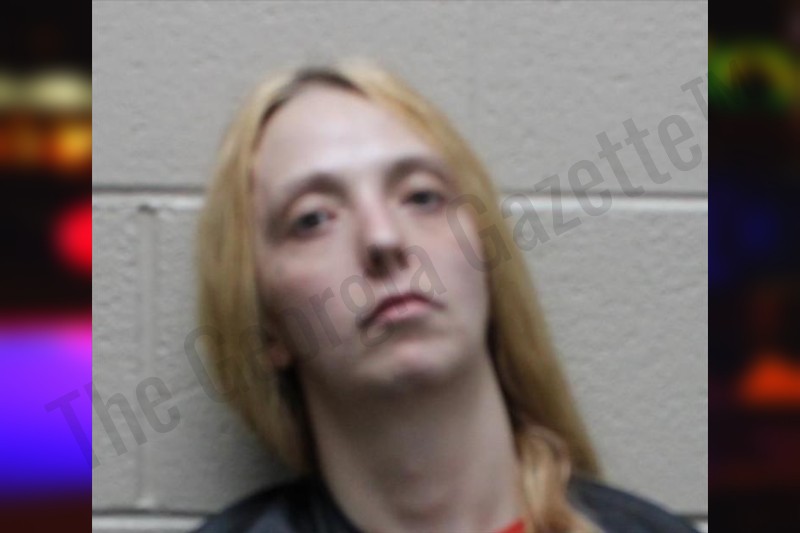 Ariel Cox — Haralson County Jail Bookings