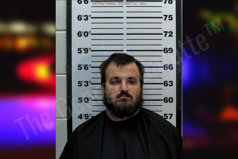 John Chandler — Hart County Jail Bookings