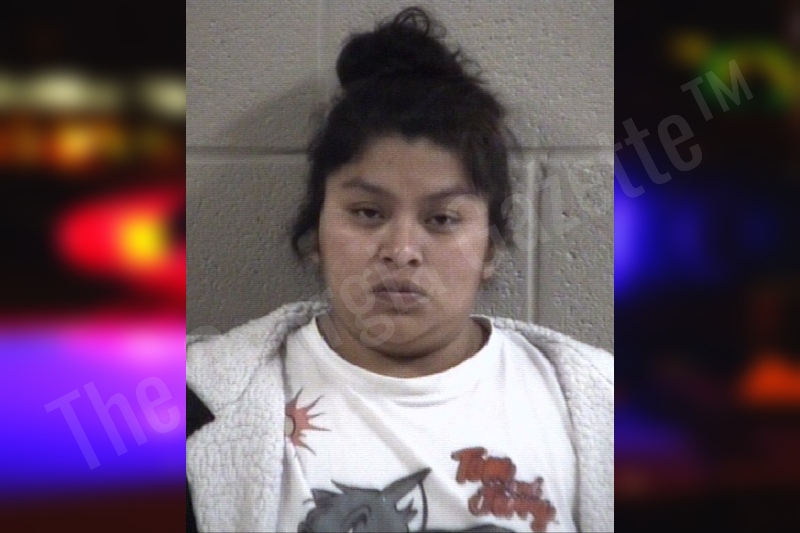 Magaly Chun-Ramirez — Whitfield County Jail Bookings