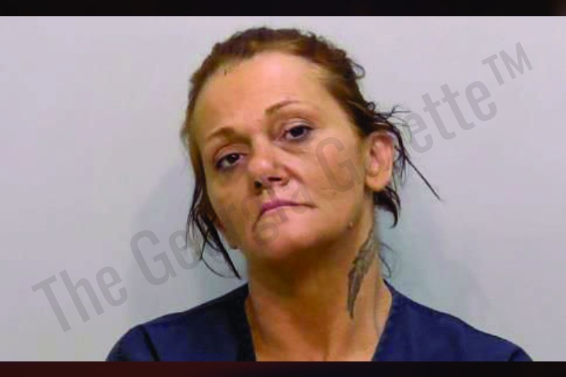 Lisa Coleman — Bartow County Jail Bookings