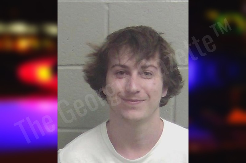 Mason Collins — Wayne County Jail Bookings