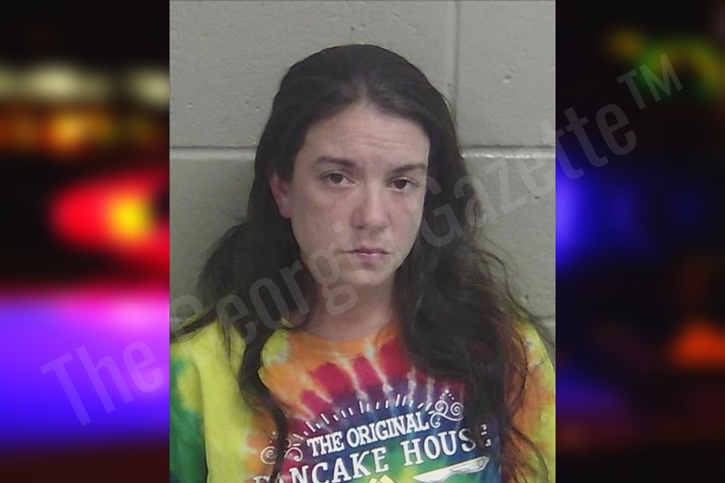 Ashley-Elizabeth Colvin — Wayne County Jail Bookings