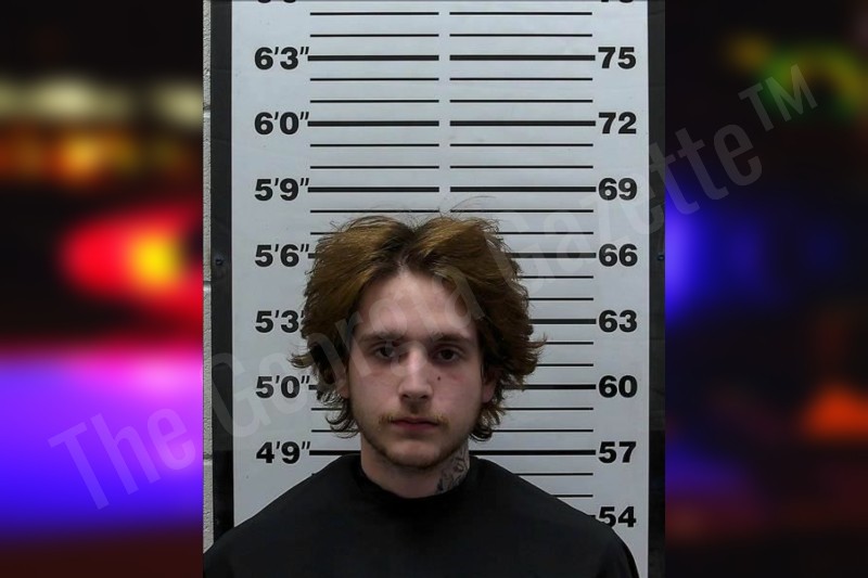 Patrick Crowe — Hart County Jail Bookings