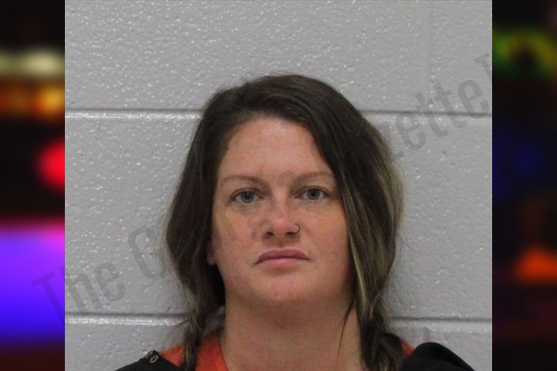 Kelly Delaney — Carroll County Jail Bookings