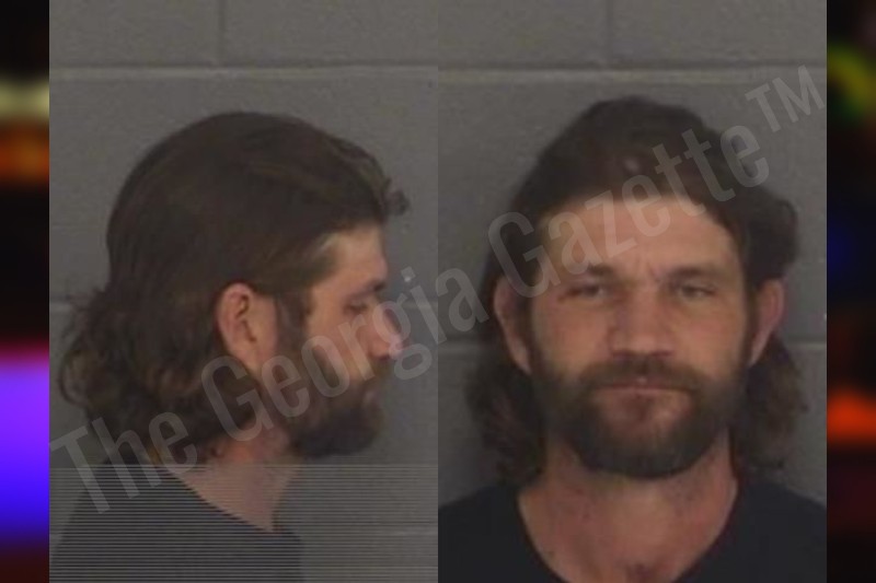 Brian Daniel — Barrow County Jail Bookings