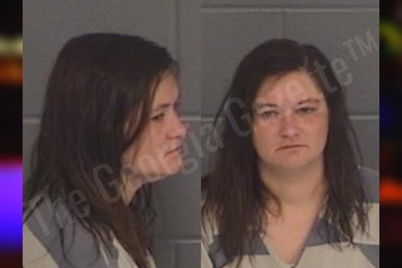 Brittany Dennis — Barrow County Jail Bookings