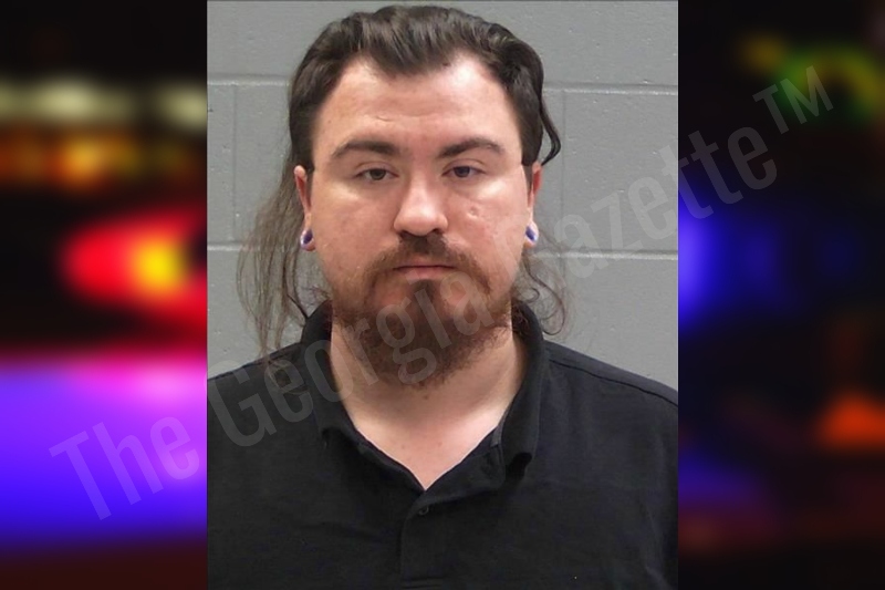 Michael Emily — Baldwin County Jail Bookings