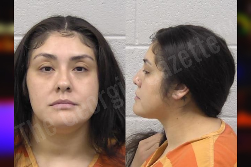Michelle Encisco — Paulding County Jail Bookings